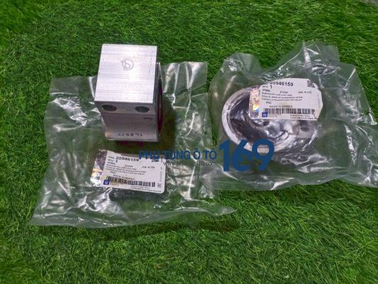 Cao su càng a to Captiva 2006 - 2018 20946159 - Phụ Tùng 169